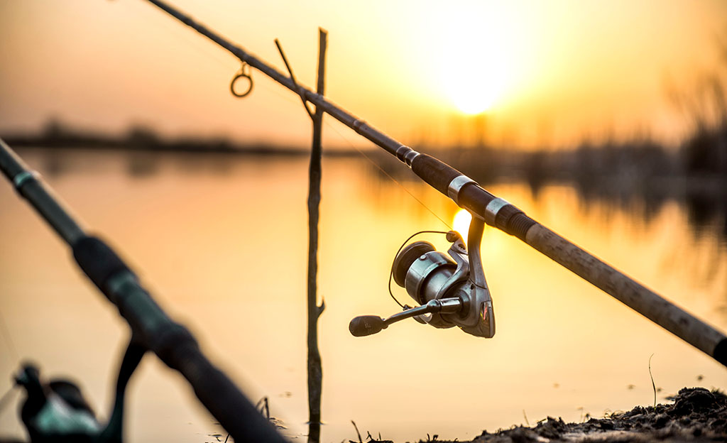 Homemade Fishing Bait For Beginners - Why You Should Carpe Diem And ...
